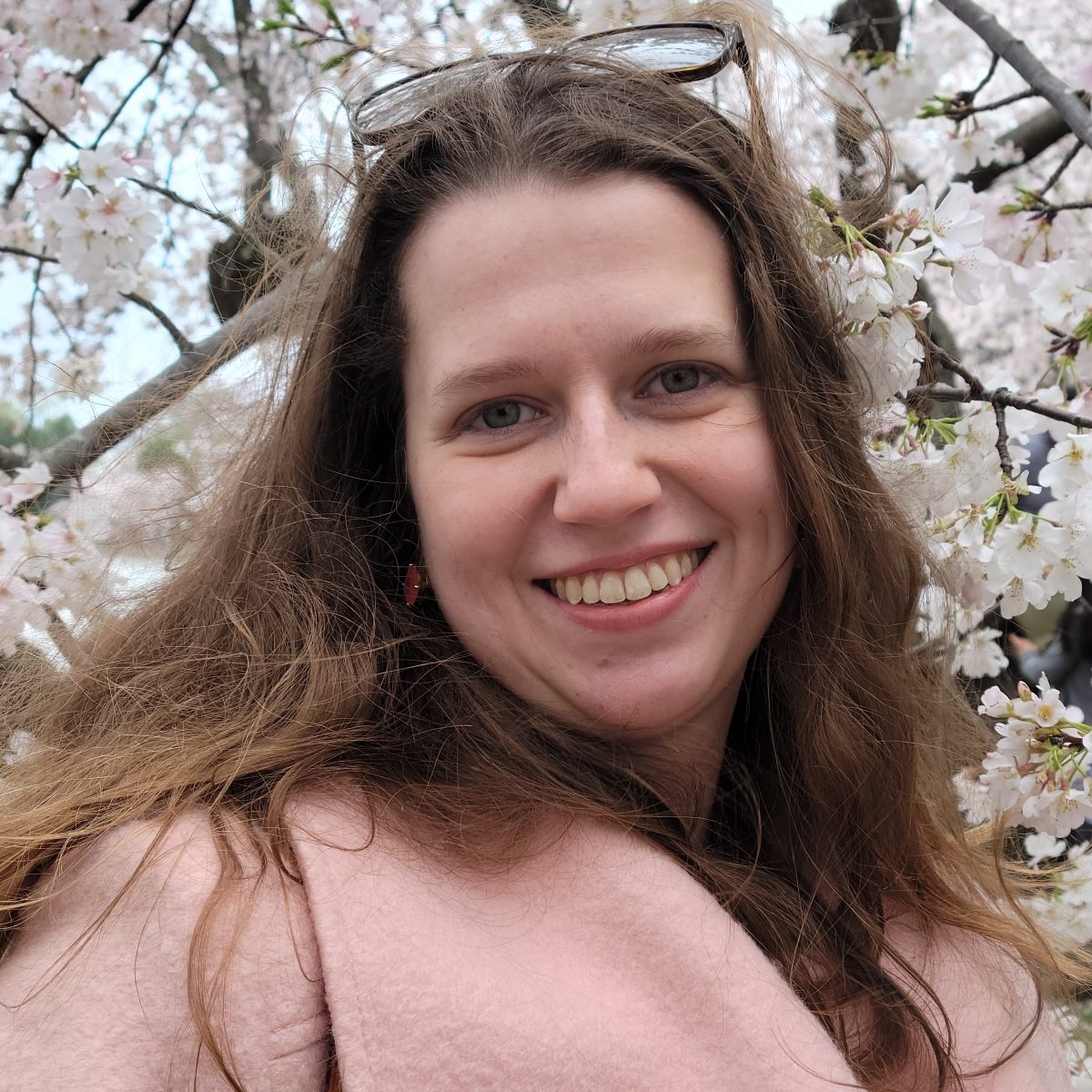 Justice for All Fellows Share Projects with Foundation Board – Ohio ...